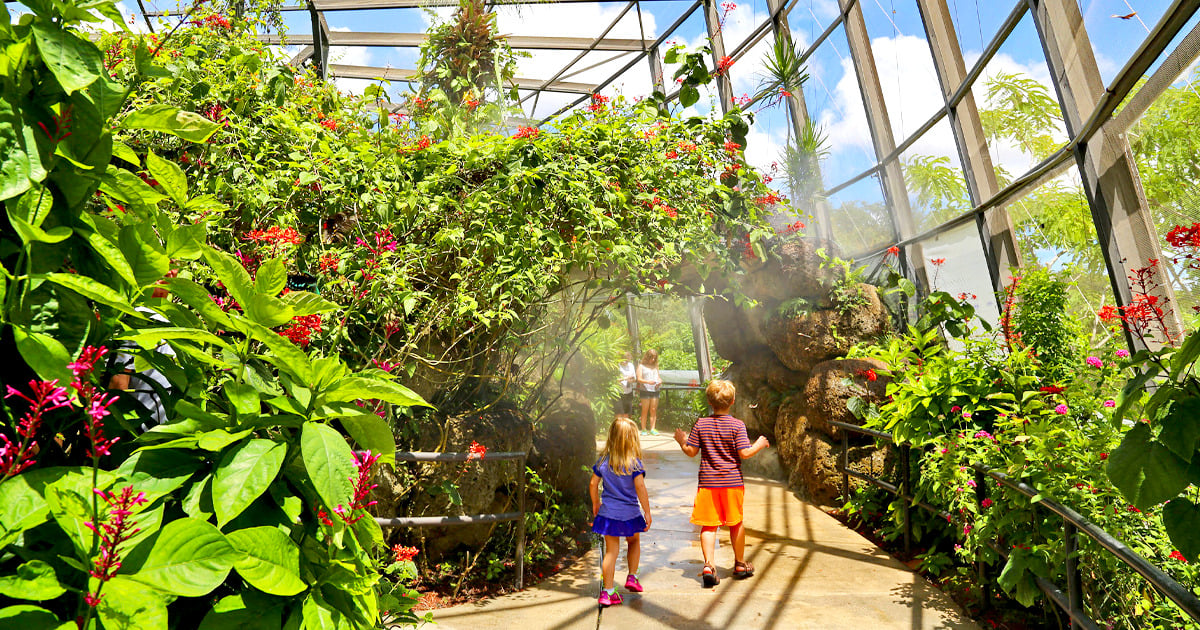 Butterfly World in Coconut Creek, Florida