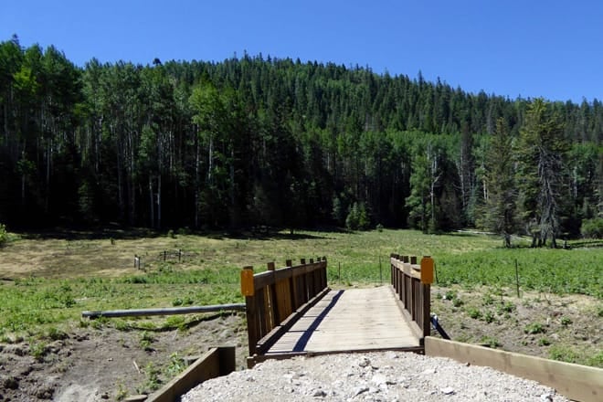 Lincoln National Forest