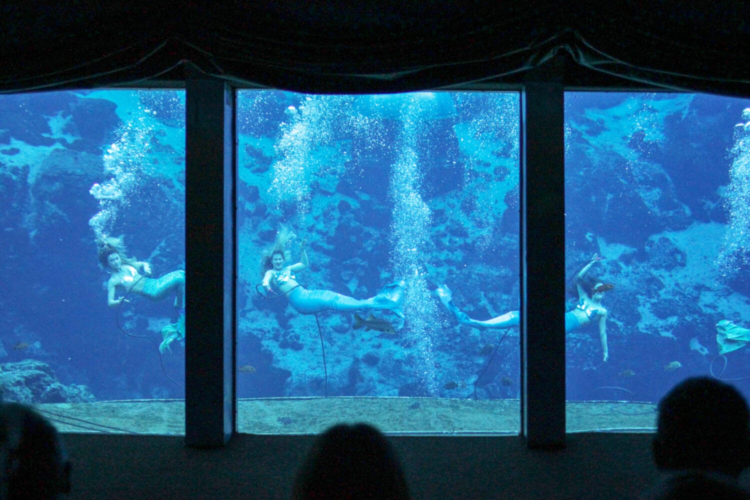 Live mermaid show in Weeki Wachee Springs State Park