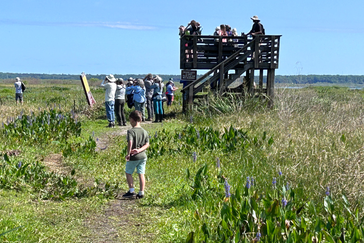 people watching the wildlife in the state park