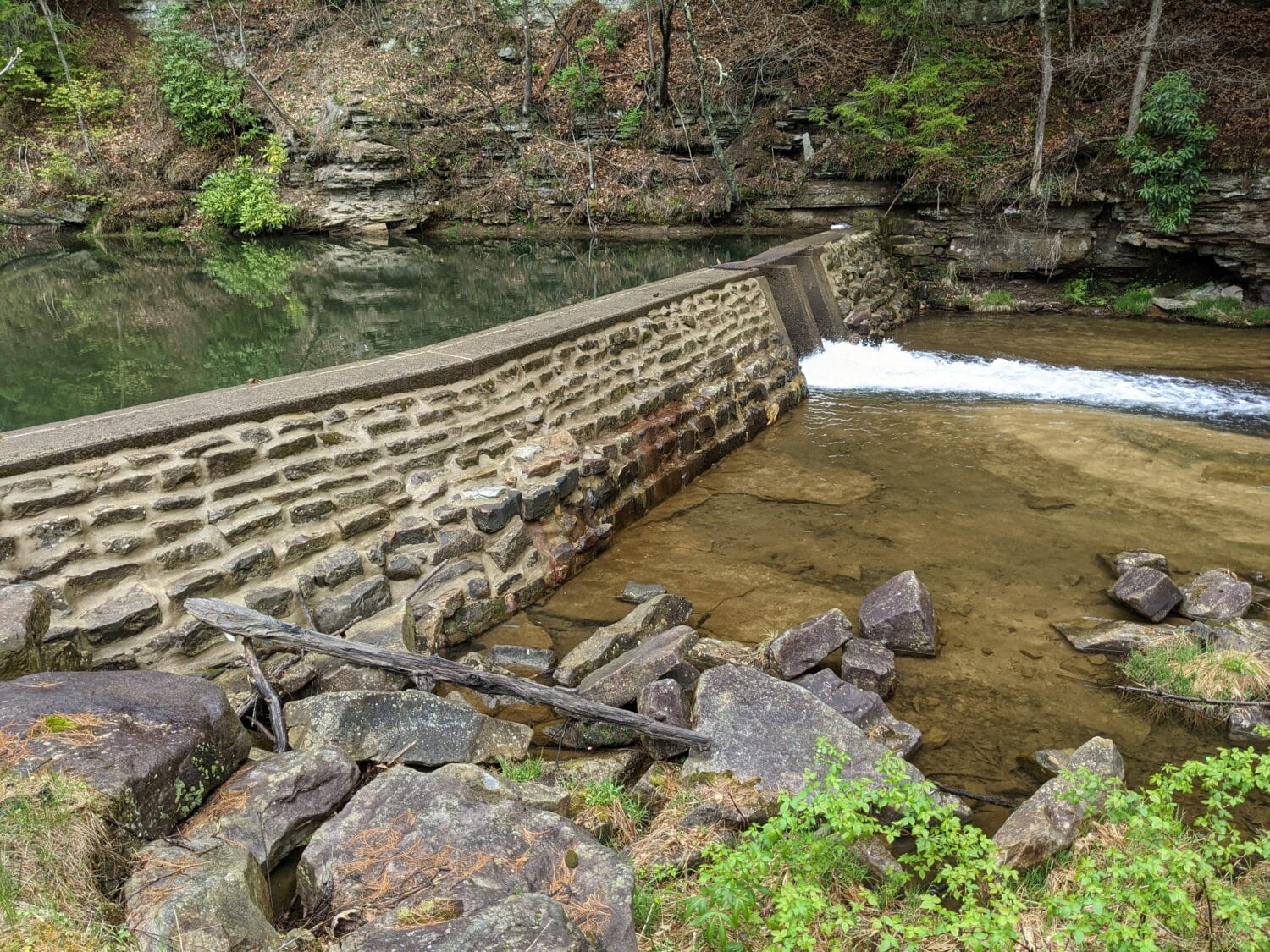 Pristine waters in the park