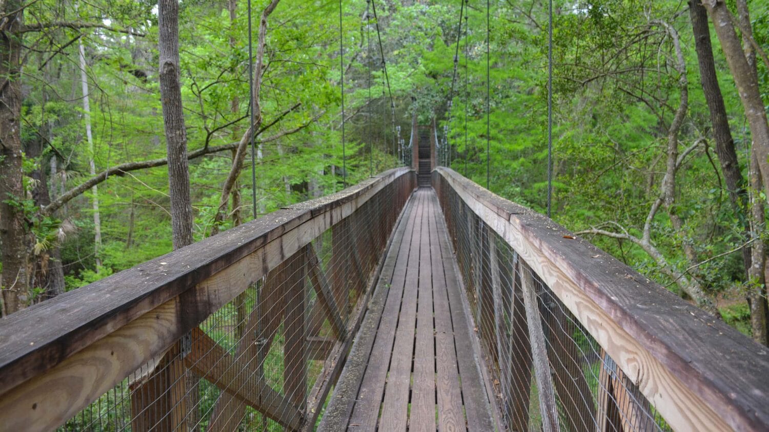 A scenic bridge within Ravine Gardens