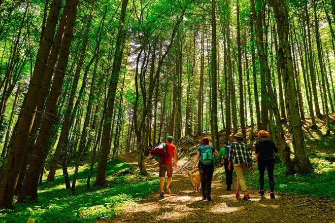 Strawberry Hill Foundation