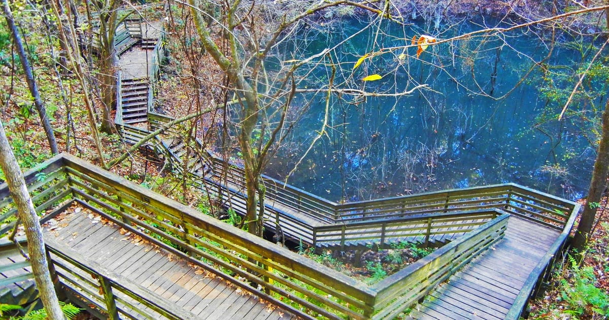 The beautiful top view of the sinkhole in Devil&rsquo;s Millhopper Geological State Park