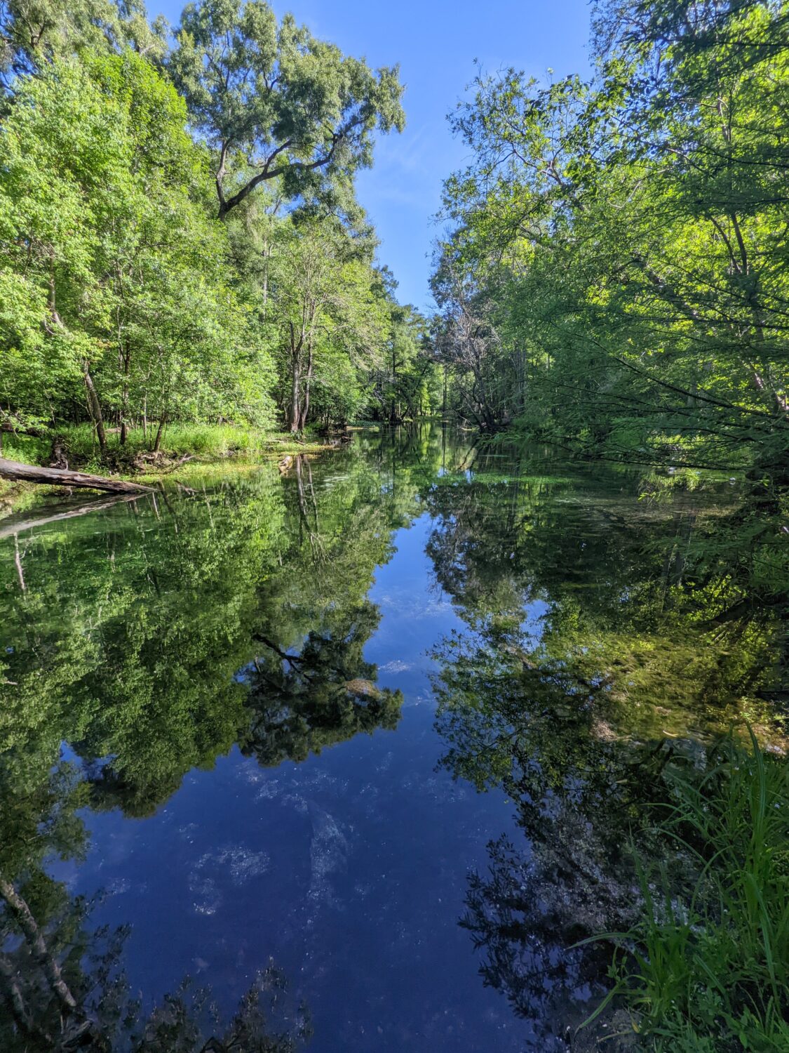 The breathtaking view of the spring.