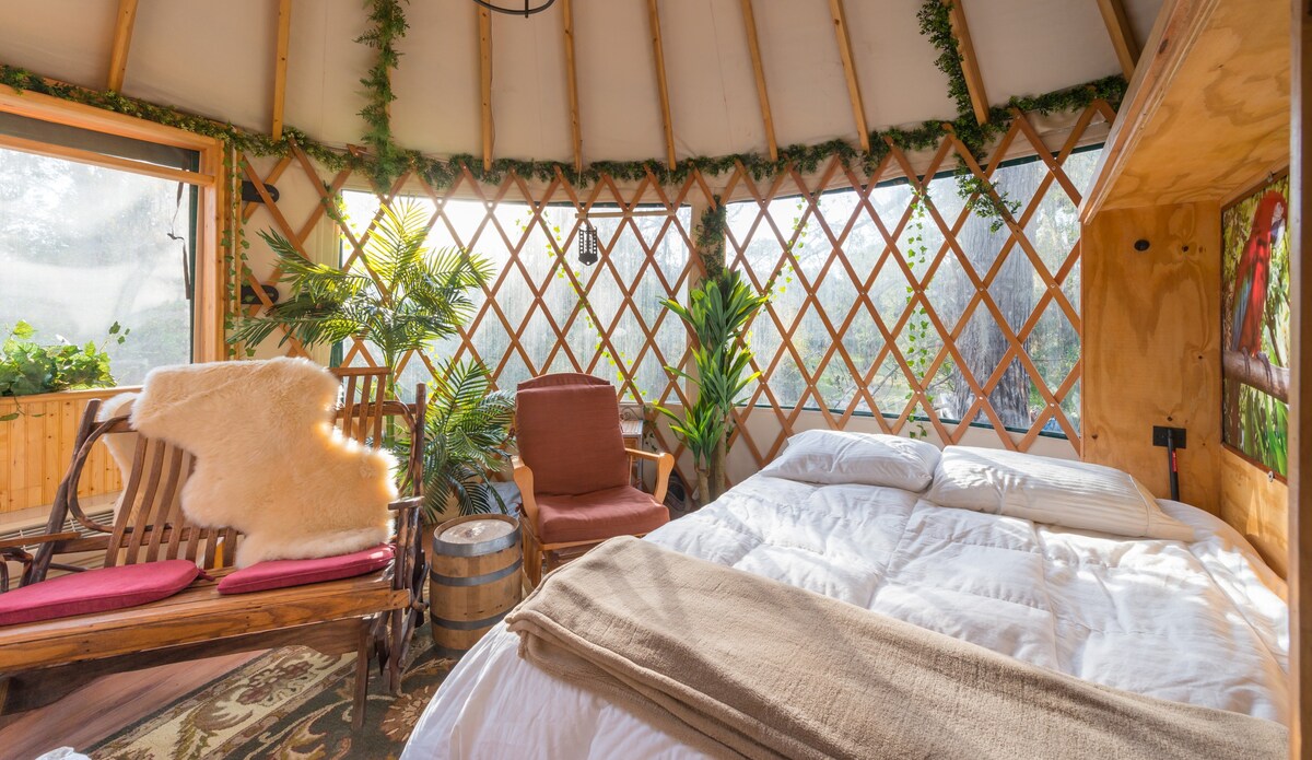 The comfy queen size bed