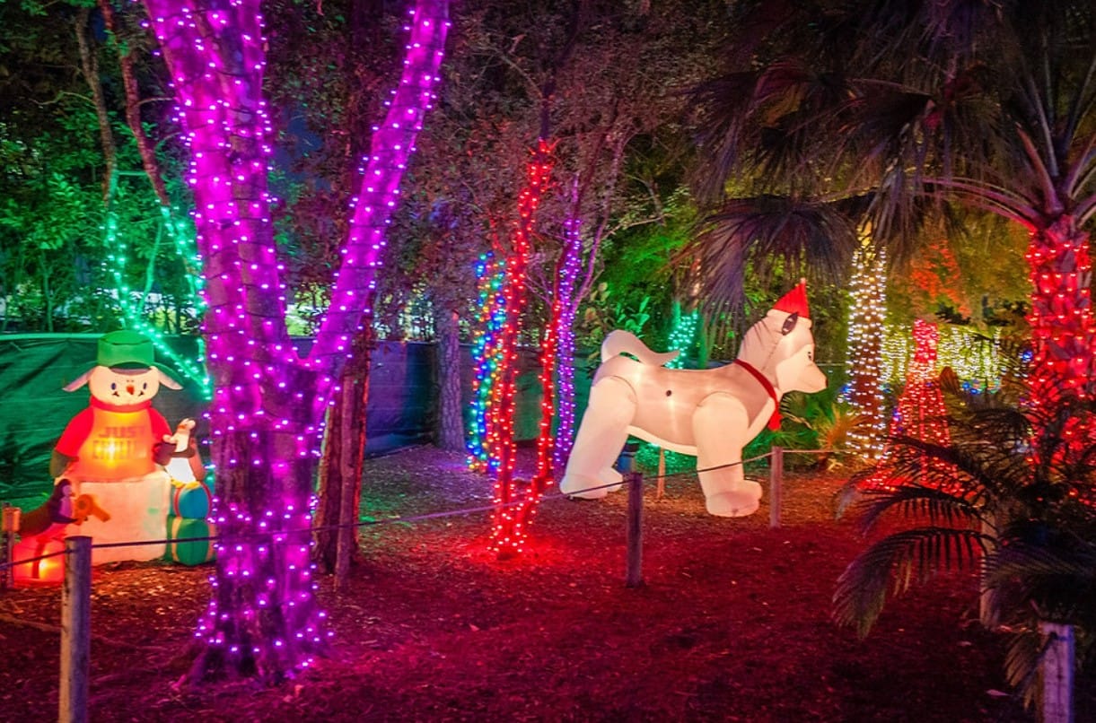 the factorys eye catching holiday decor and lights