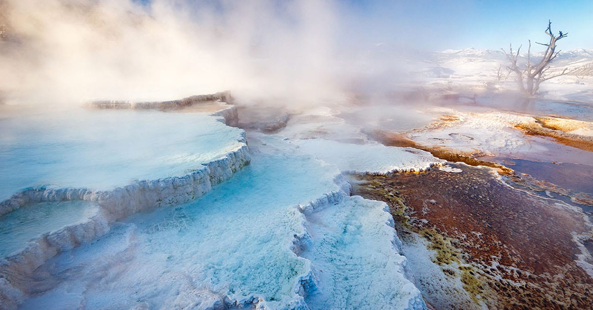 The famous hot springs in Yellowstone in winter.