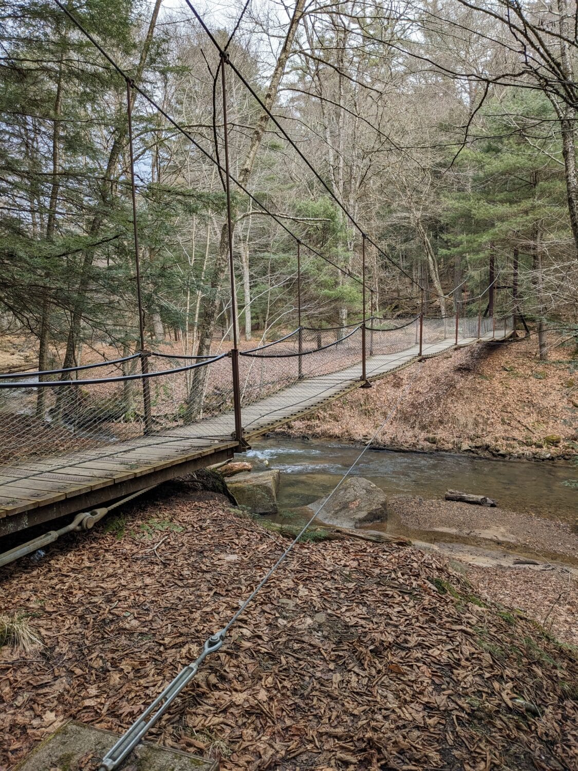 The iconic swinging bridge