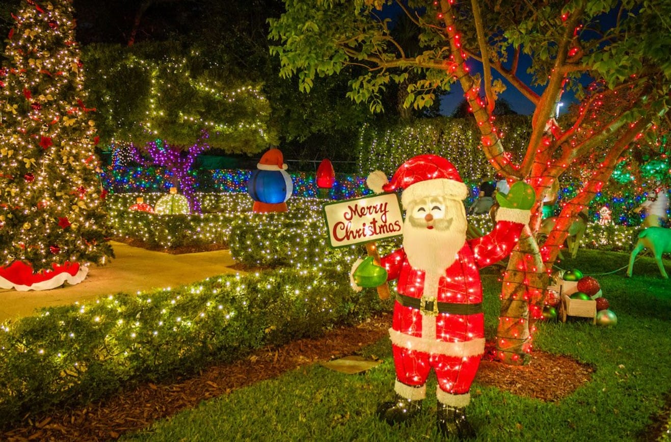 the lovely holiday lights and decor of the chocolate shop