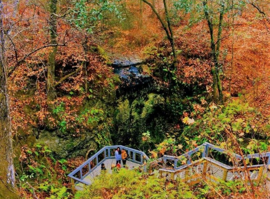 the parks gorgeous fall colors