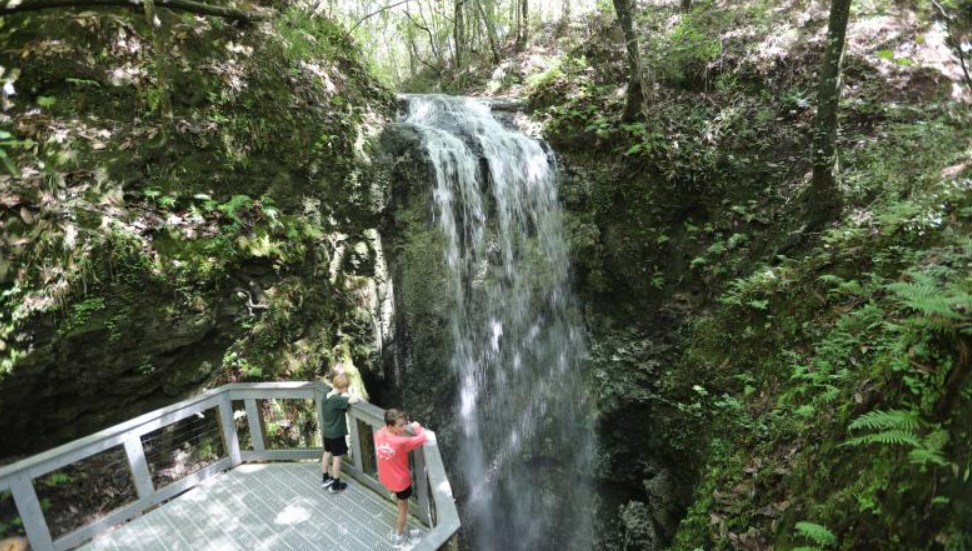 the parks viewing deck