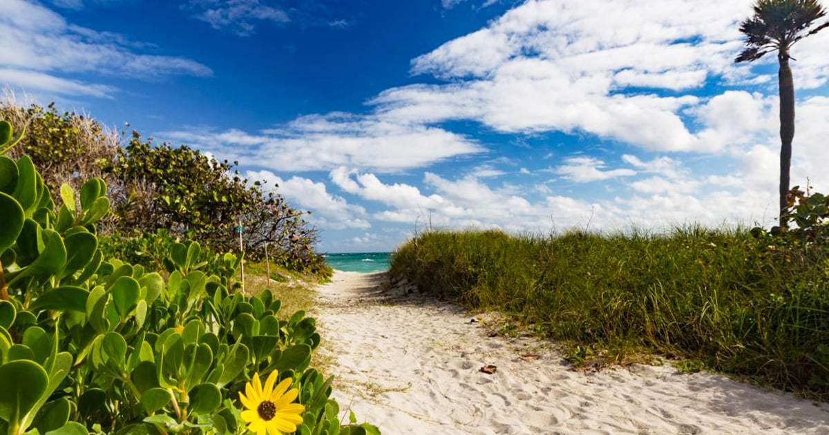the pathway leading to the beach