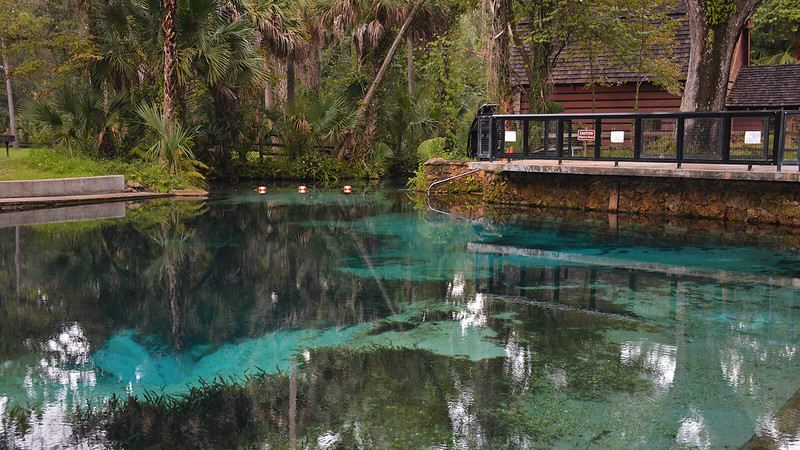 the pool area of the springs
