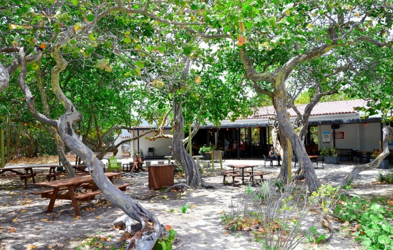 the serene atmopshere of the restaurant