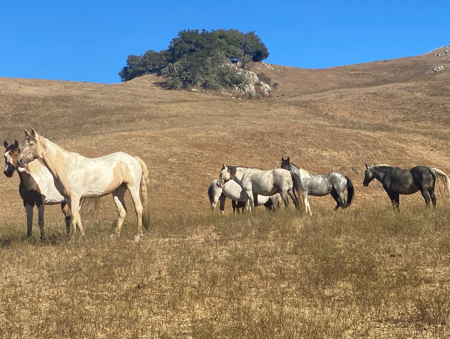 The spacious grounds of the sanctuary
