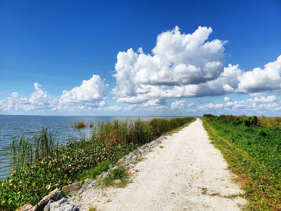 The stunning image of Apopka Loop Trail