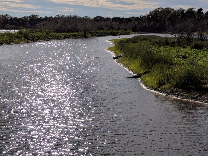 the sunlight sparkles on the water of a meandering river surrounded by vibrant greenery creating a serene landscape