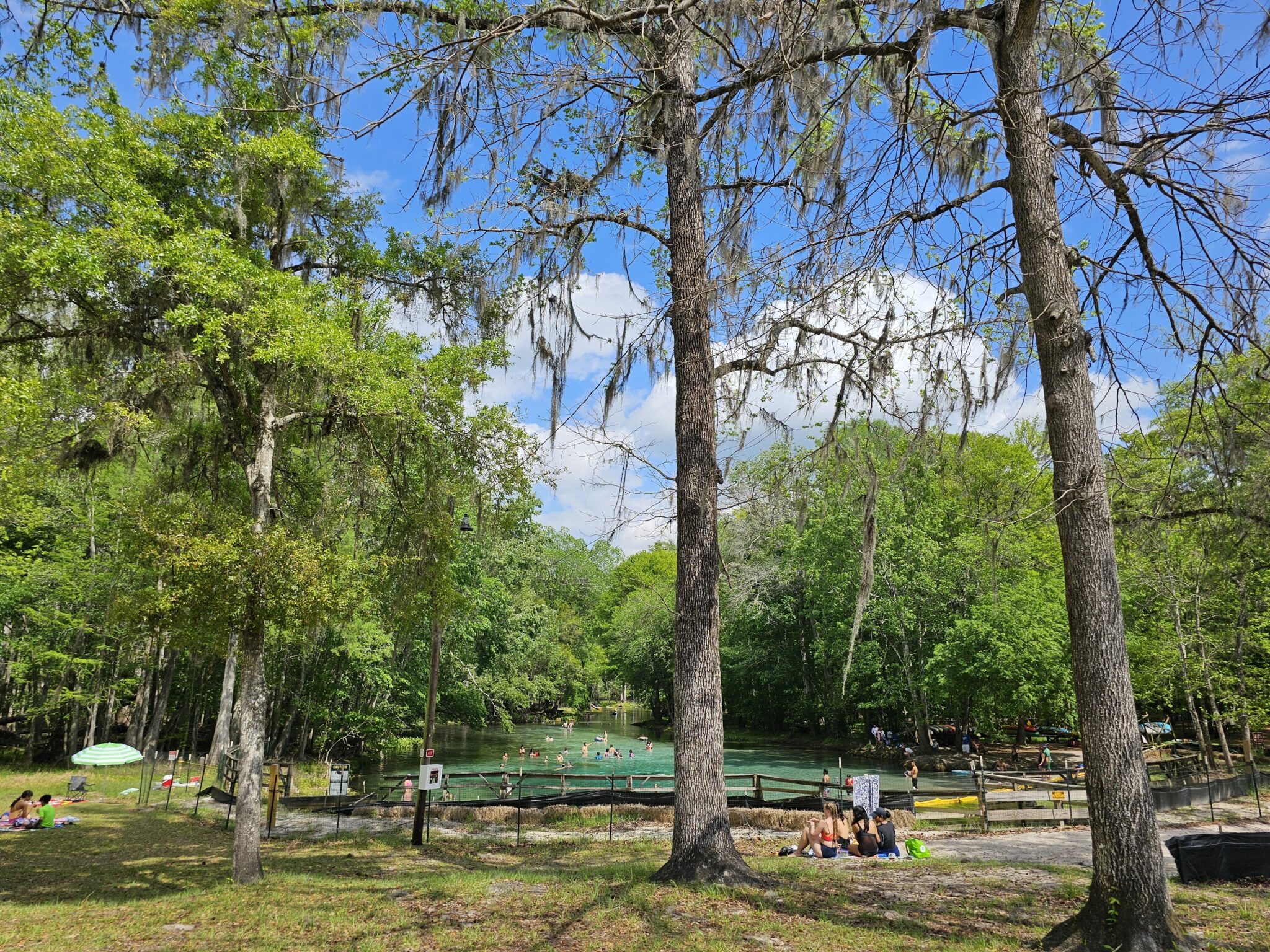 Take A 1.7-Mile Family Hike Through Florida's Gilchrist Blue Springs ...