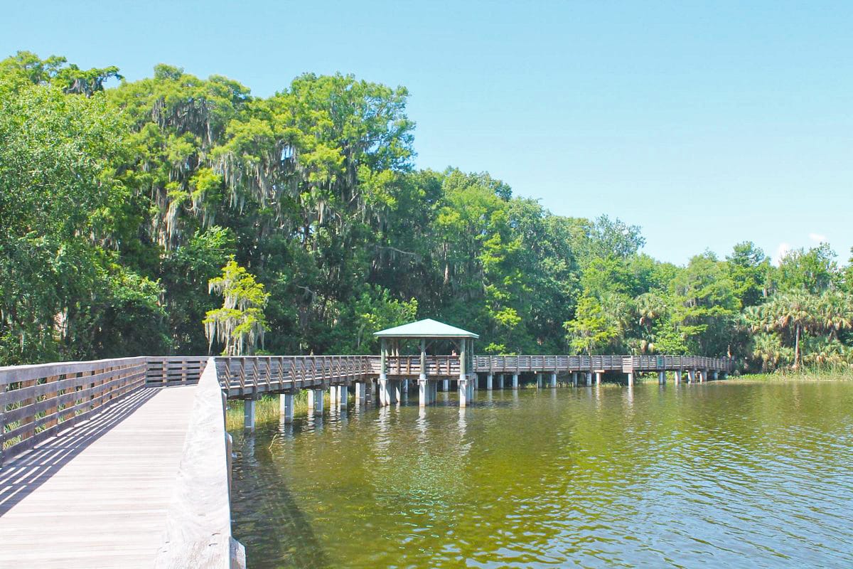The wooden trail the area