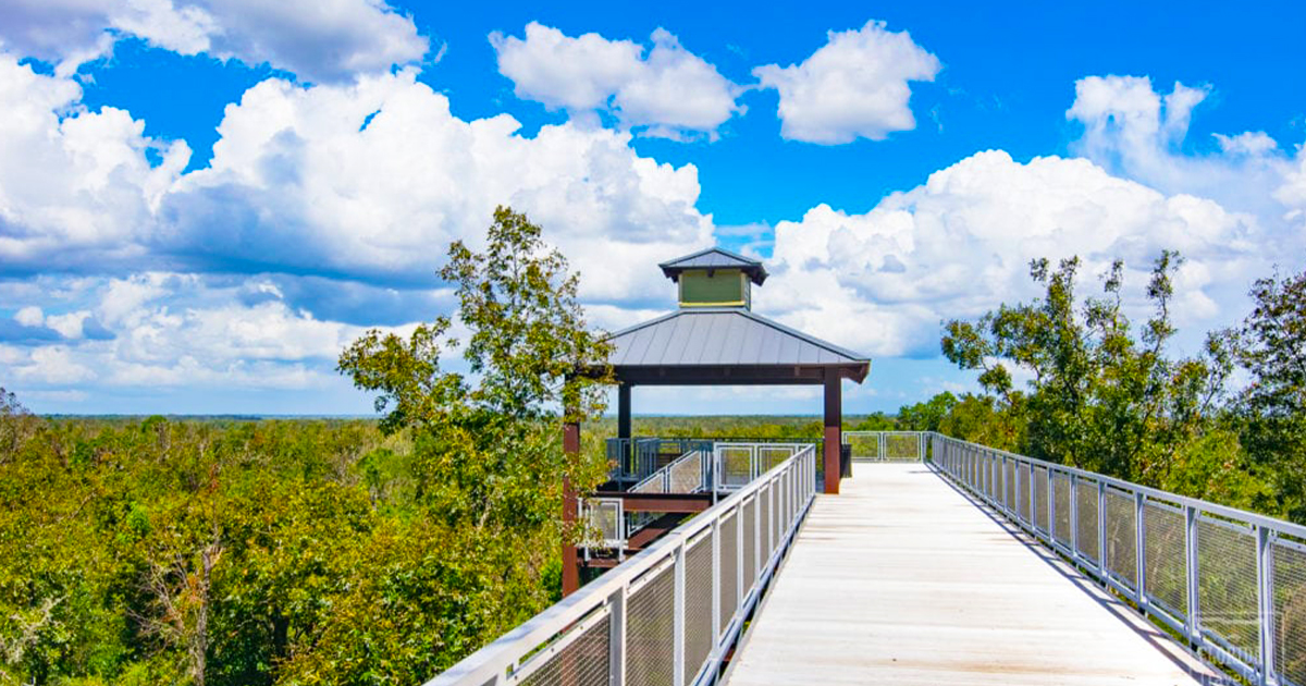 a shot of the overlook