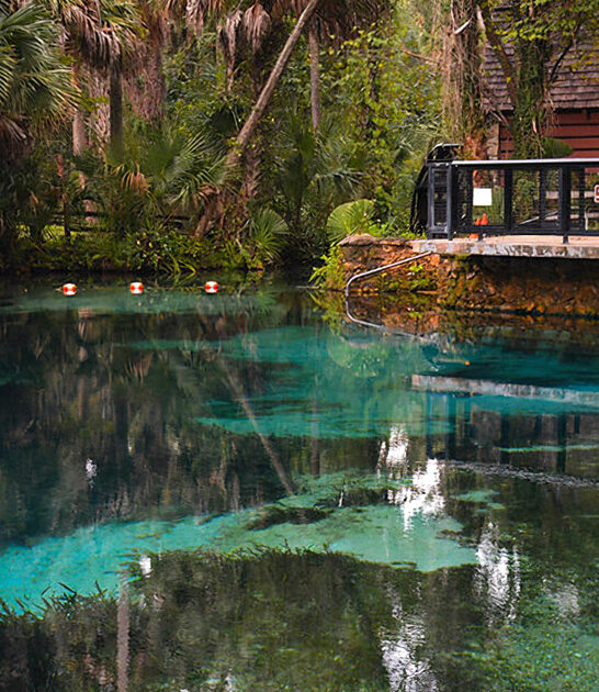accessible freshwater spring florida ftr