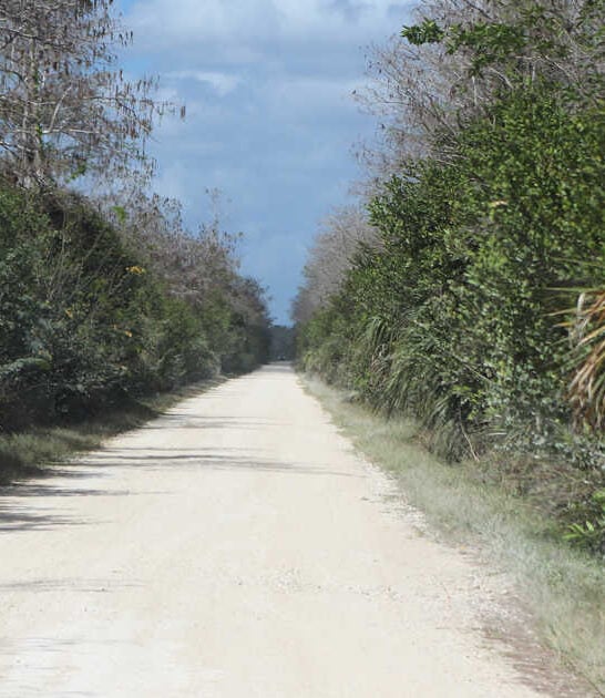 drive florida everglades ftr