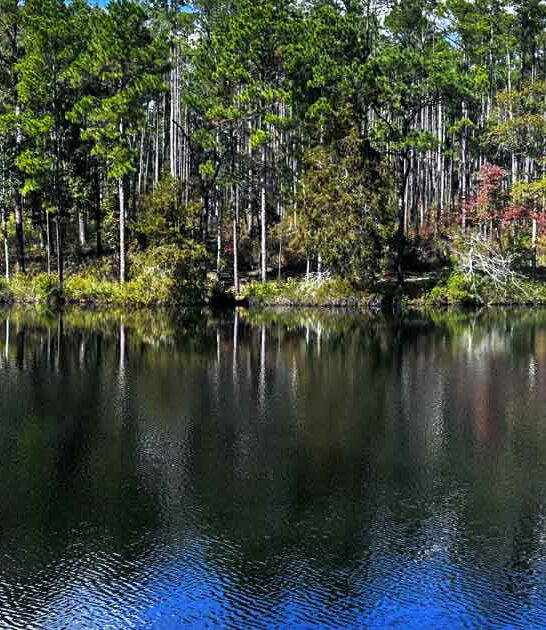 easy waterfall hike florida ftr