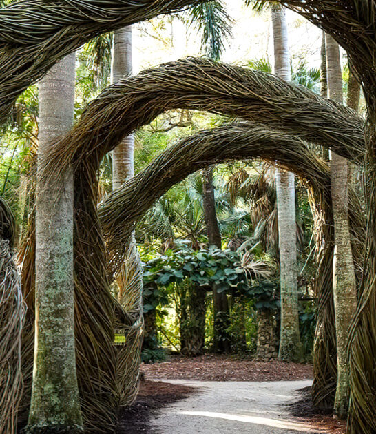 compressed by jpeg recompress