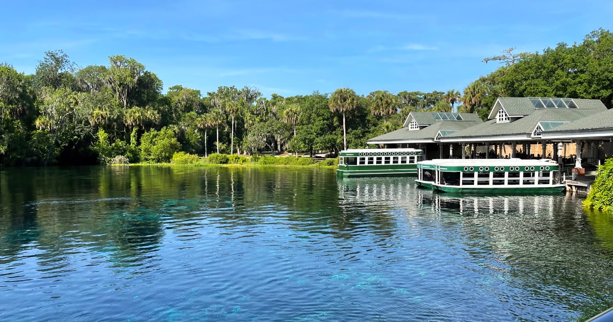 This Florida Spring Is A Hidden Gem Filled With Monkeys For Your Family ...