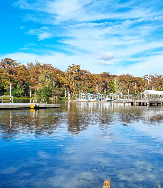 largest freshwater springs florida ftr