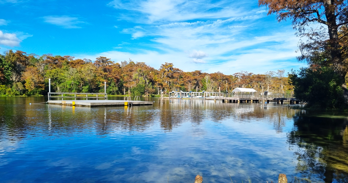 Deep Spring Florida One Of The World's Largest And Deepest Freshwater Springs Is In Florida