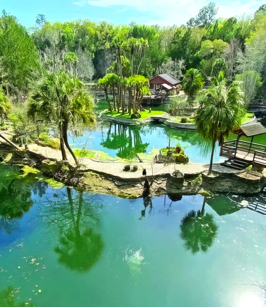 magical florida garden ftr