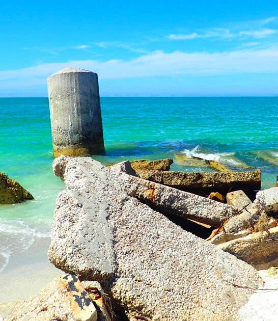 palm shells florida island ftr