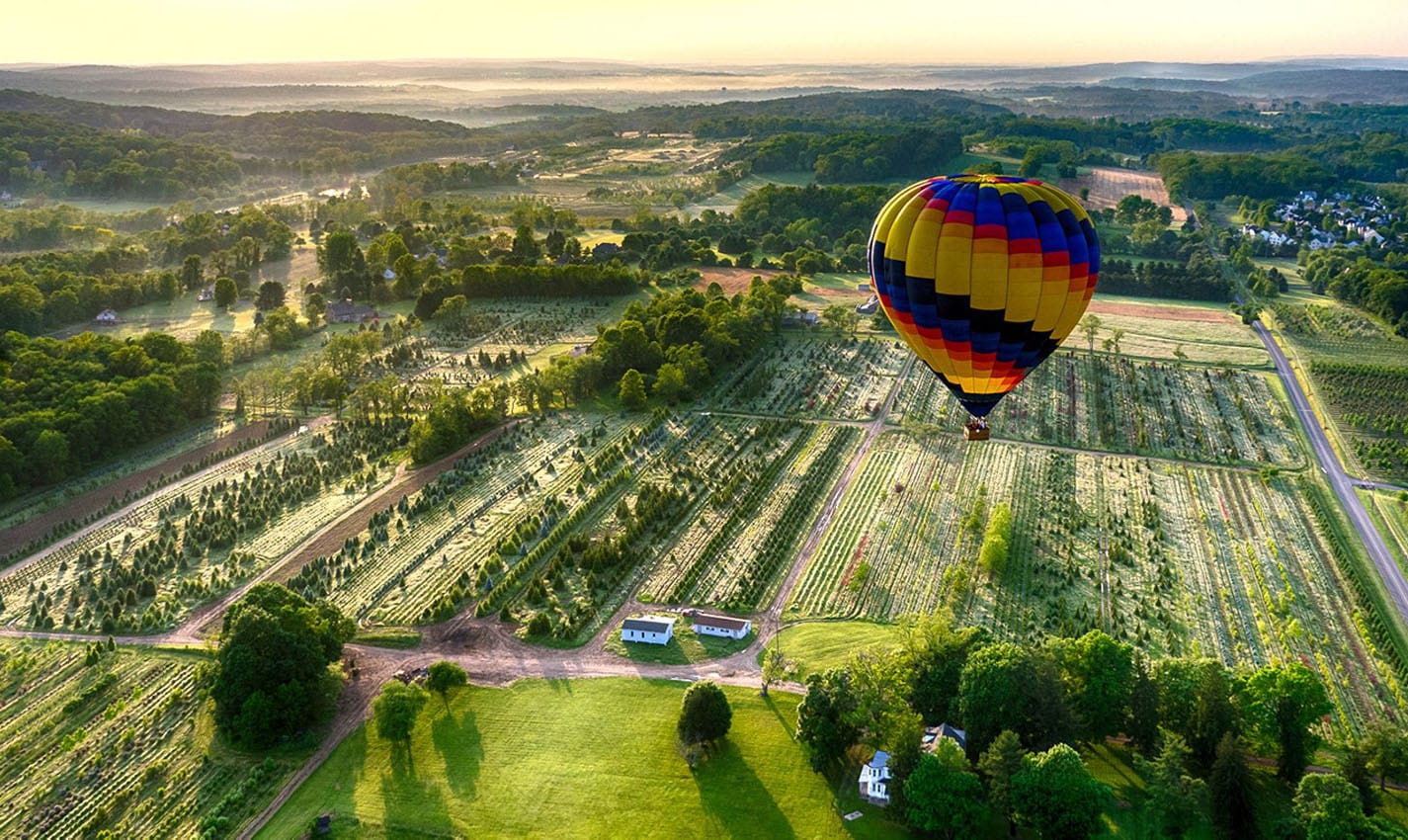 romantic things to do in philadelphia for couples