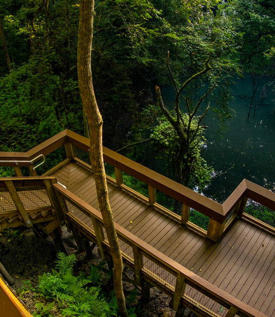 secret wonders north florida ftr