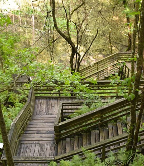 staircase florida mysterious sinkhole ftr