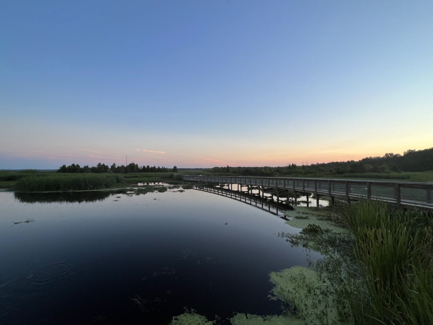 the stunning view of the park at dusk