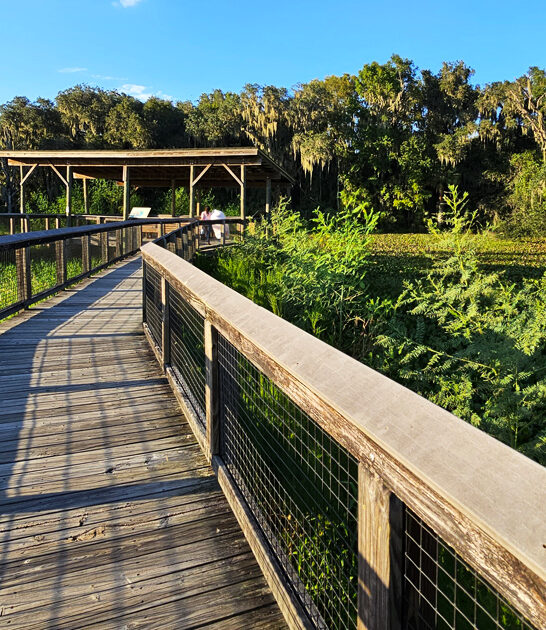 trail florida families overlook ftr