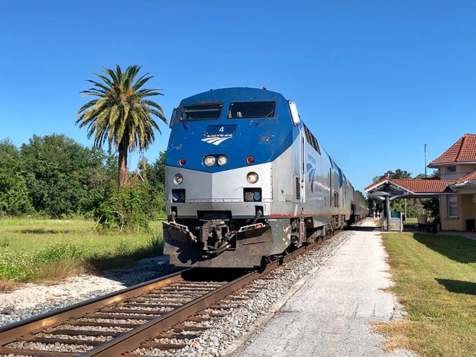The iconic blue and silver Amtrak train pulls into a Florida station, promising adventures without the hassle of airport security lines.