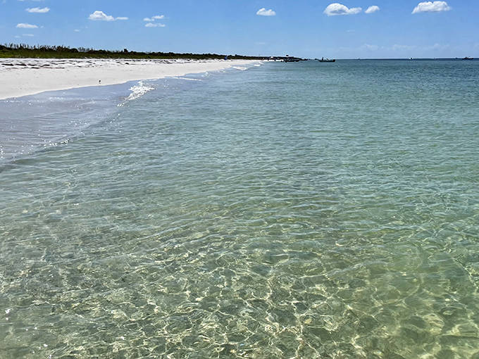 Crystal-clear waters meet pristine white sand at Caladesi Island, where nature shows off its best work without even trying.