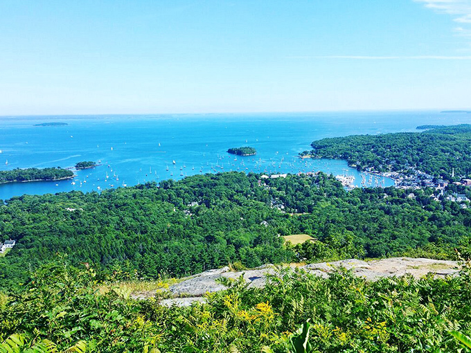 Camden Hills State Park: Where Mother Nature shows off her best work, with forests that whisper secrets and trails that promise adventure.