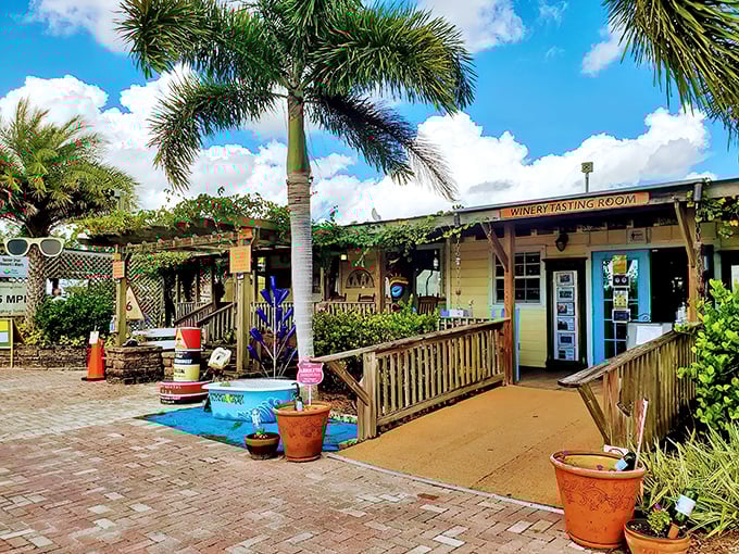 Palm trees frame the inviting entrance to Summer Crush Winery, where Florida sunshine meets vineyard charm in the most delightful way.