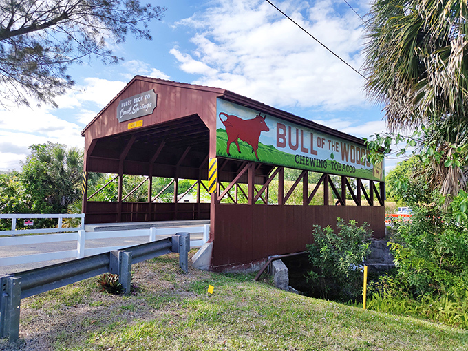 The iconic Coral Springs Covered Bridge stands proudly with its "Bull of the Woods" tobacco advertisement, a charming anachronism in modern Florida.