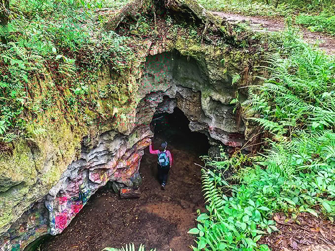 Nature's doorway beckons: The moss-draped entrance to Dames Cave invites explorers into Florida's underground realm.