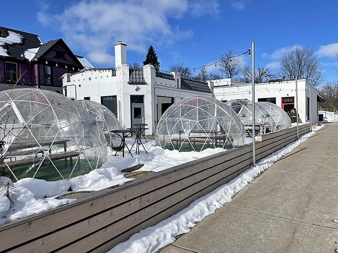 Donkey Taqueria: Where winter meets warmth &ndash; these magical igloos transform Michigan's snowy landscape into a Mexican fiesta under the stars.