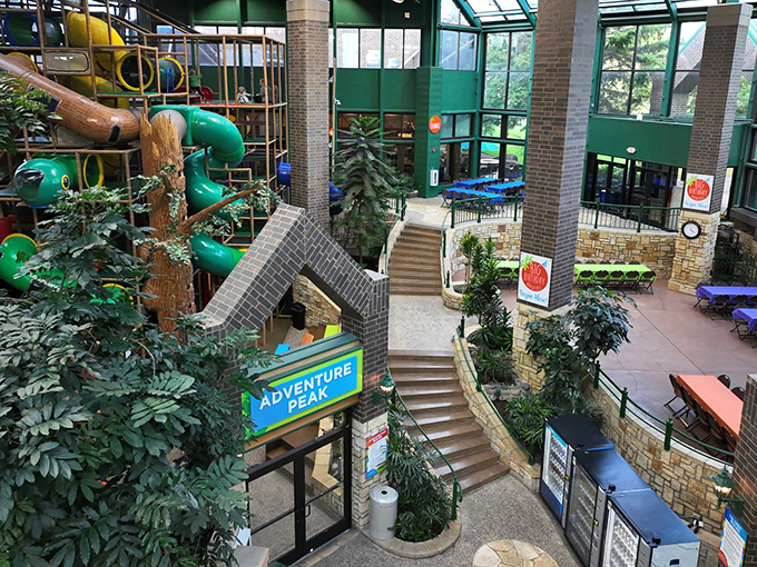 A verdant indoor oasis where Minnesota winters go to die and childhood energy finds its match in towering play structures.