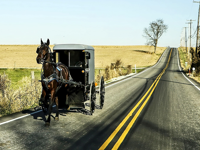 A horse-drawn Amish buggy travels along a country road outside Clare, where modern highways and traditional transportation share the same peaceful landscape.