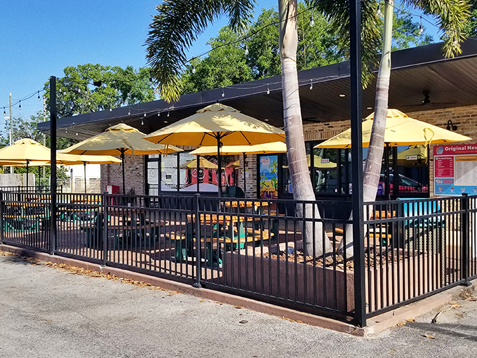 The modern exterior welcomes doughnut lovers with palm trees swaying overhead and patio seating that screams "Florida casual at its finest."