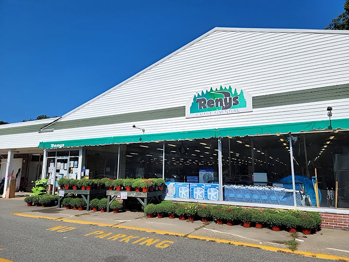 The iconic green awning welcomes shoppers to Renys, Maine's beloved department store where adventure awaits behind those unassuming doors.